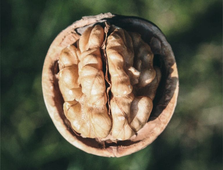 De rijke leesomgeving: 8 belangrijke vragen die elke school moet ...